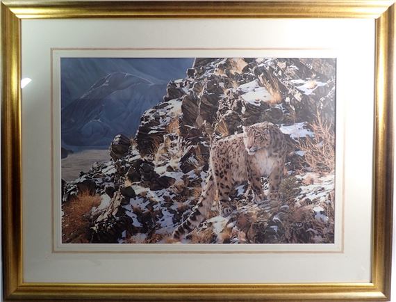 Simon Combes | Mountain Myth | MutualArt