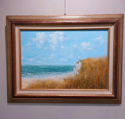 Patrice Marchal | Patrice MARCHAL Falaise Oil on canvas 38 x 55 cm ...