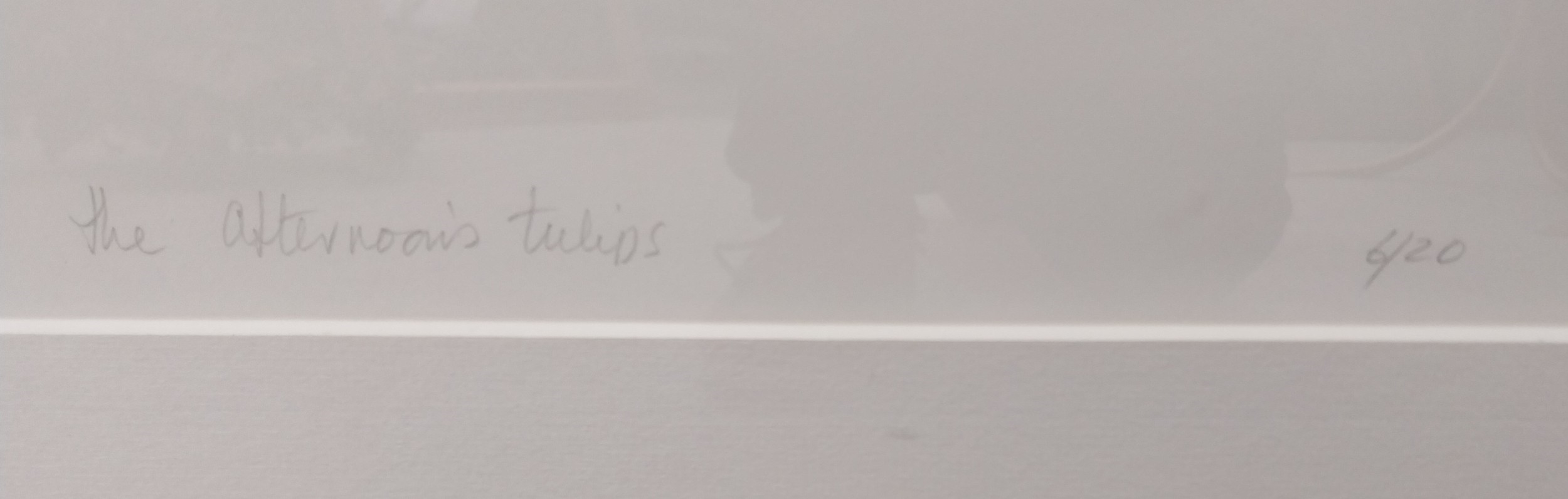 Cecile Elstein | The Afternoon Tulips | MutualArt