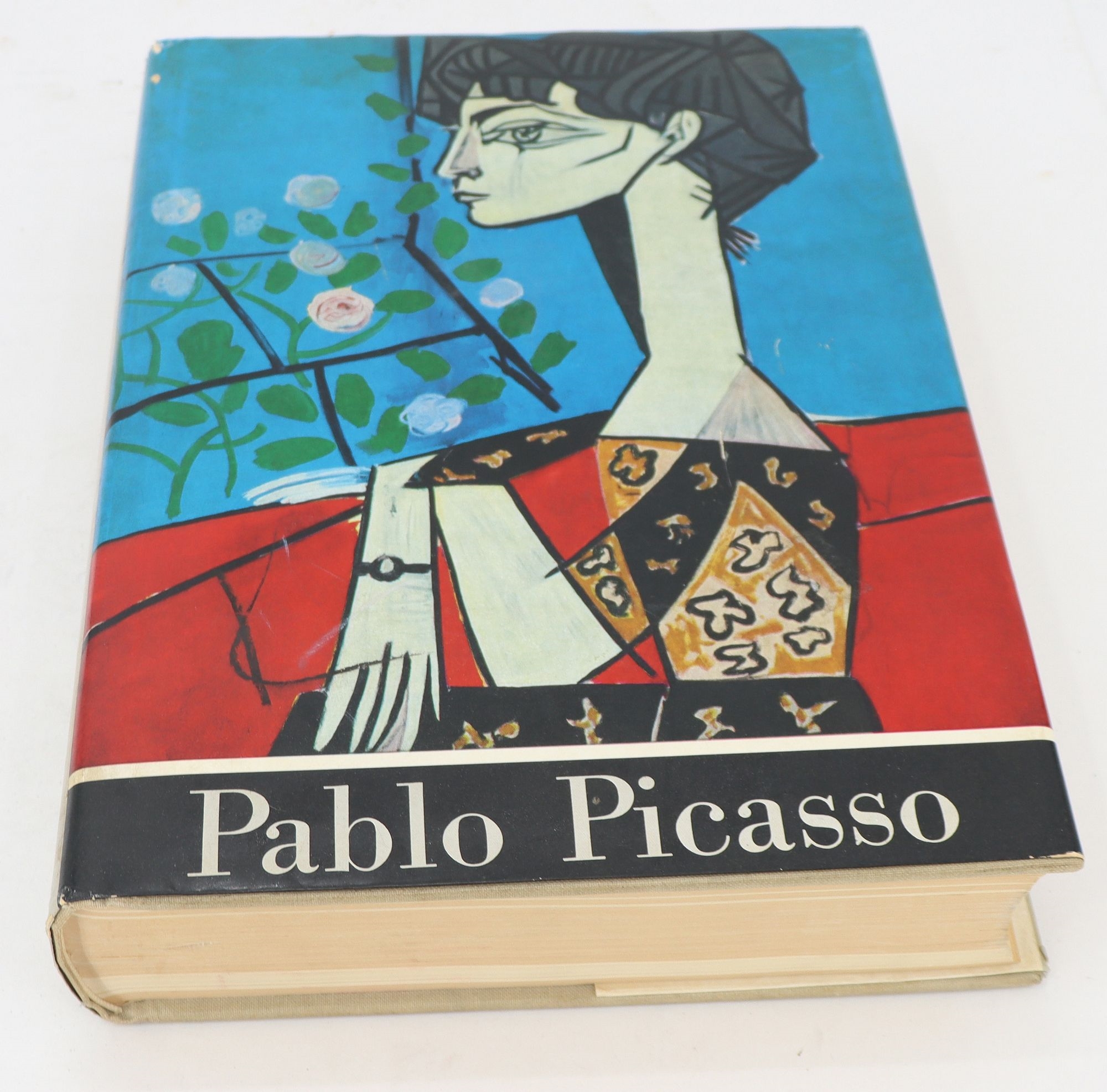 Pablo Picasso | Biography of Pablo Picasso Published by Harry N. Abrams ...