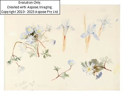 Marie Egner | Marie Egner | MutualArt