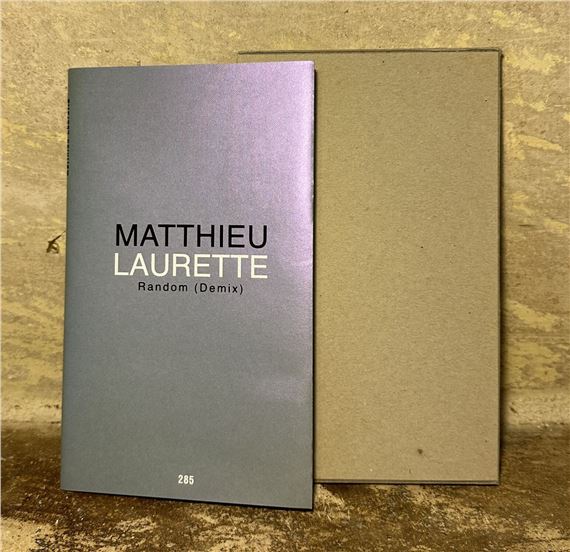 Matthieu Laurette | Matthieu Laurette | MutualArt