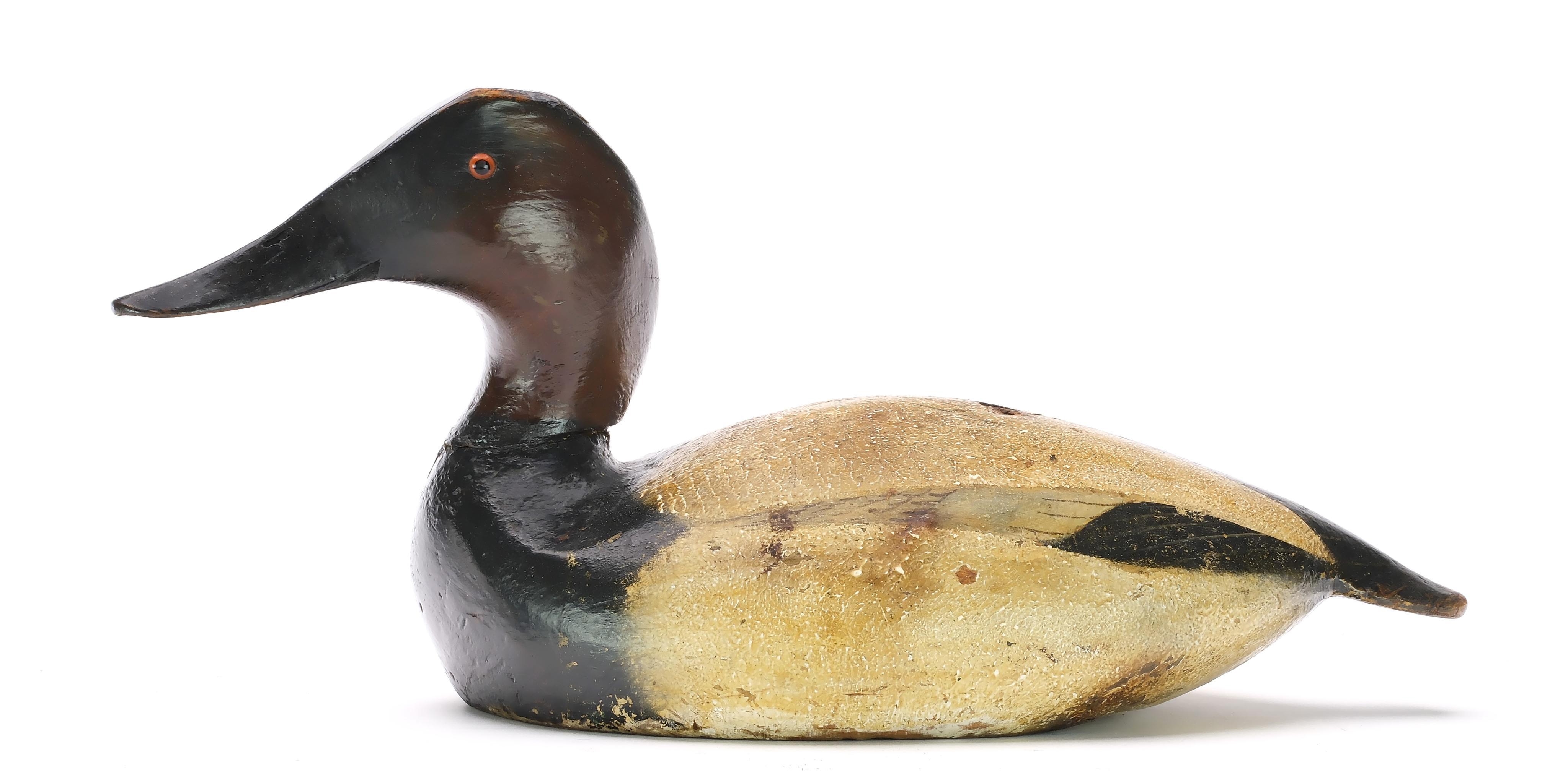 Lemuel T. Ward | Canvasback | MutualArt