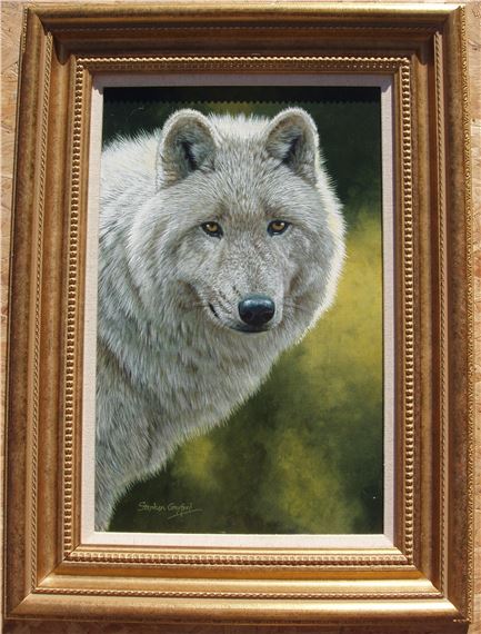 Stephen Gayford | Study of a wolf | MutualArt