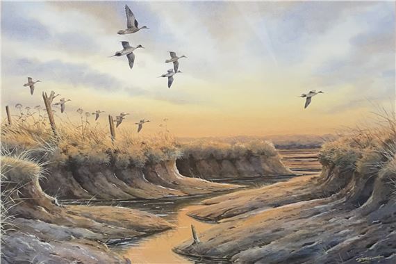 Simon Trinder | Pintail Over Marshes | MutualArt