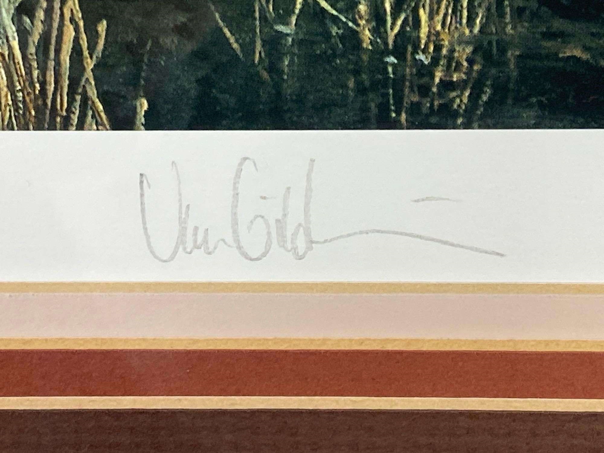 Ron Van Gilder | Old Mossy Horns | MutualArt