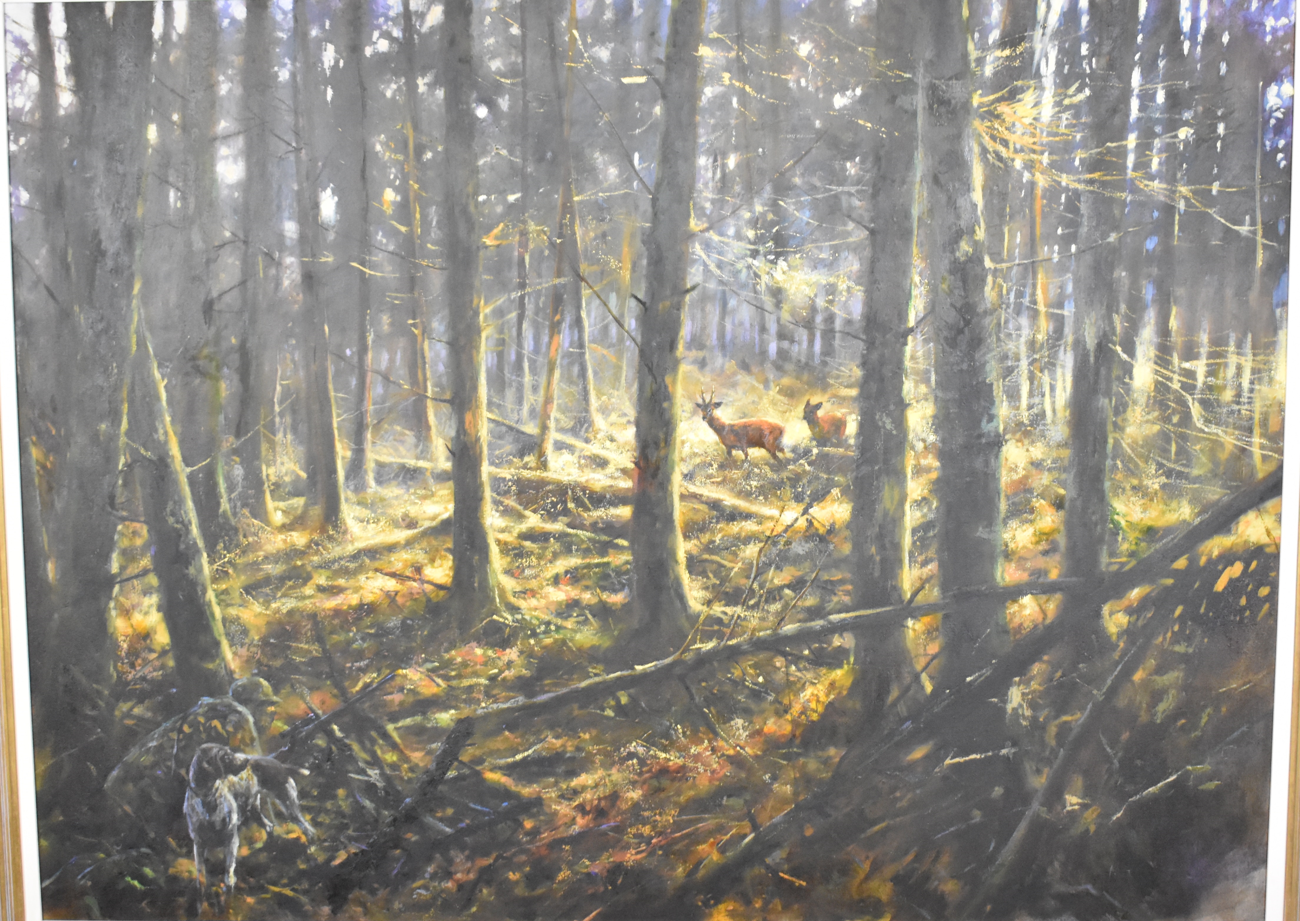 Mick Cawston | deer in woodland with a man and his dog stalking them ...