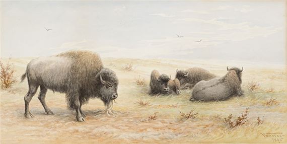Frederick Arthur Verner | Buffalo (1895) | MutualArt