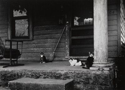 Alfred Gescheidt | You have Seen their Faces (Circa 1970s) | MutualArt