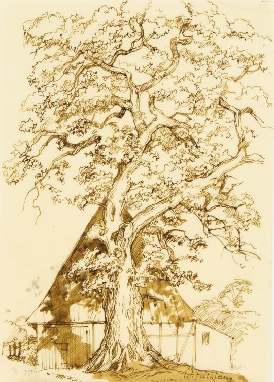 Wilhelm Facklam | Knorrige Eiche (1883 - 1972) | MutualArt