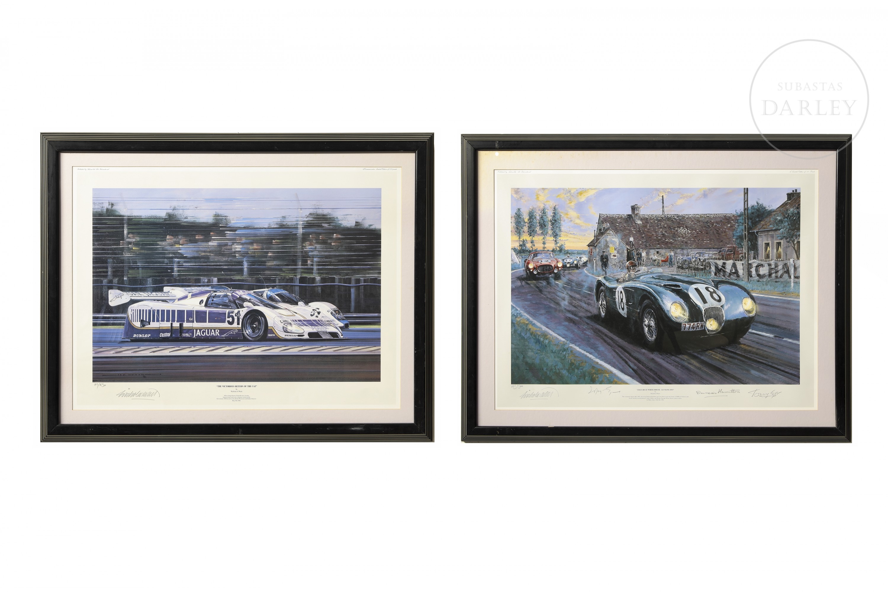 Nicholas Watts | Jaguar Race Cars (1953 - 1986) | MutualArt
