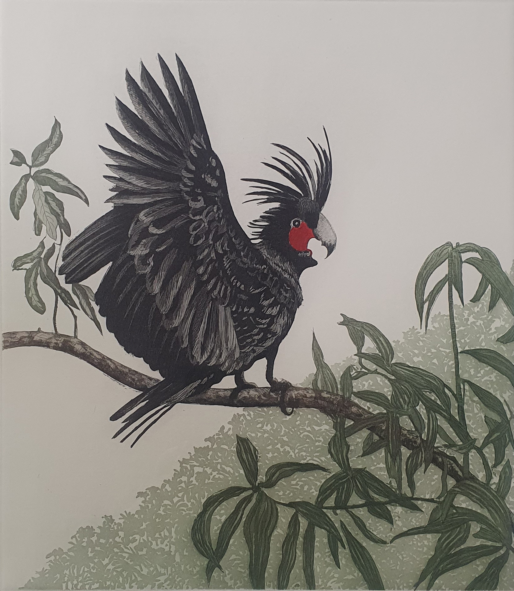 Pamela Griffith | 'Palm Cockatoo' | MutualArt