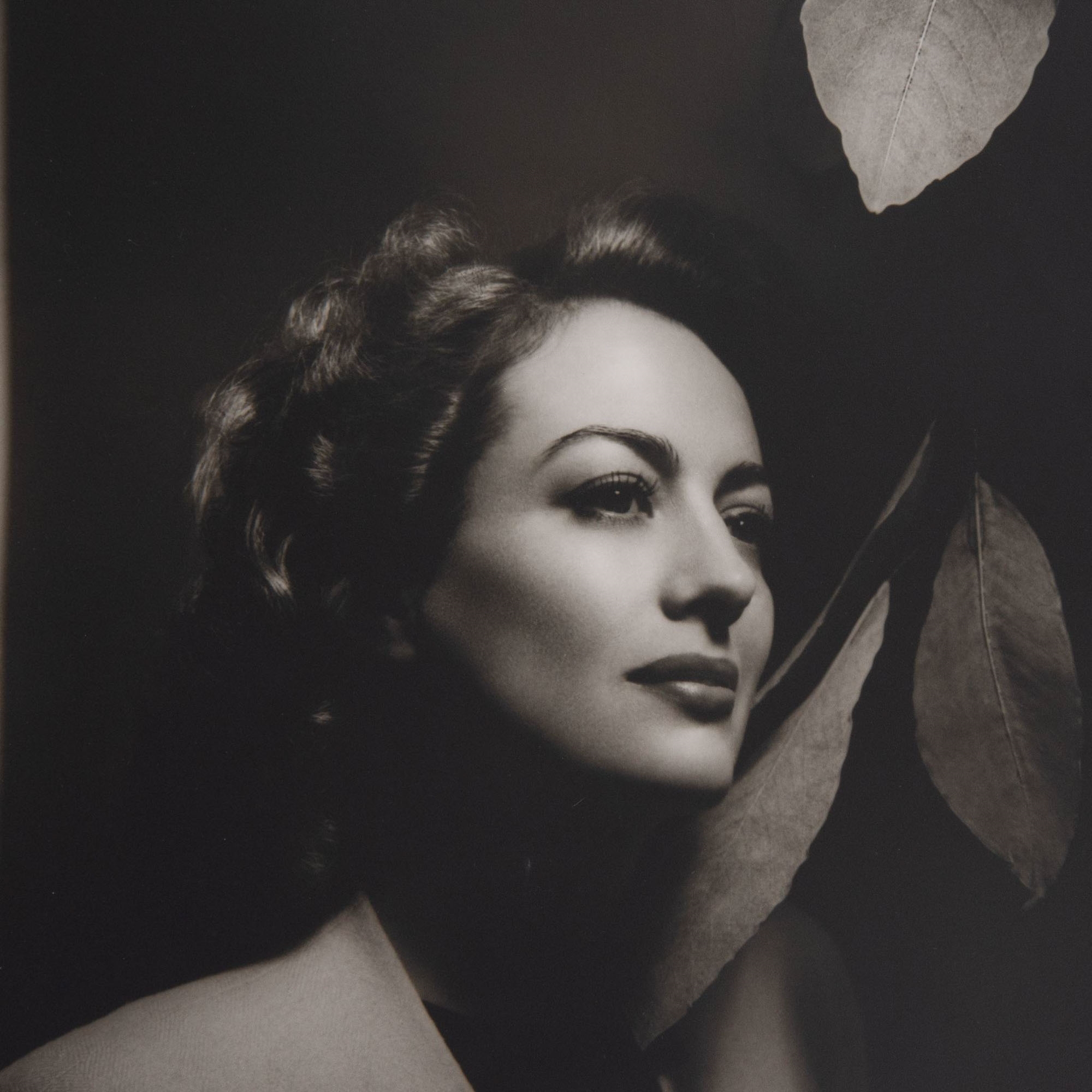 George Hurrell | . This portrait captures Crawford at the height of her ...