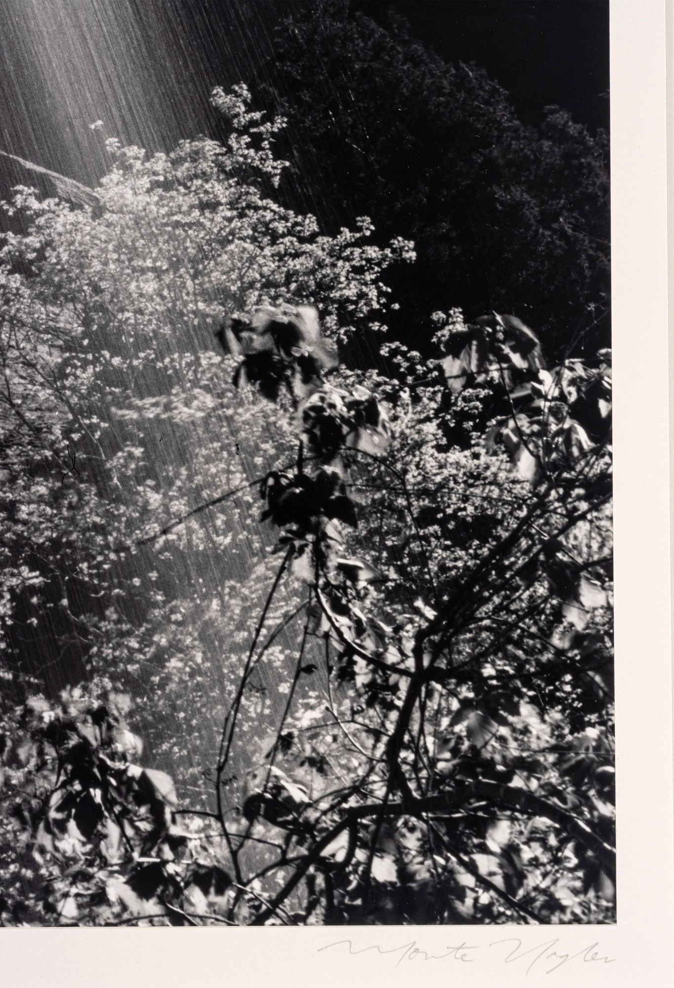 Monte Nagler | Monte Nagler (American, B. 1939) Gelatin Silver Print ...