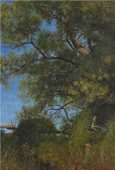 Albert Bierstadt | Salem, Oregon (Circa 1863) | MutualArt