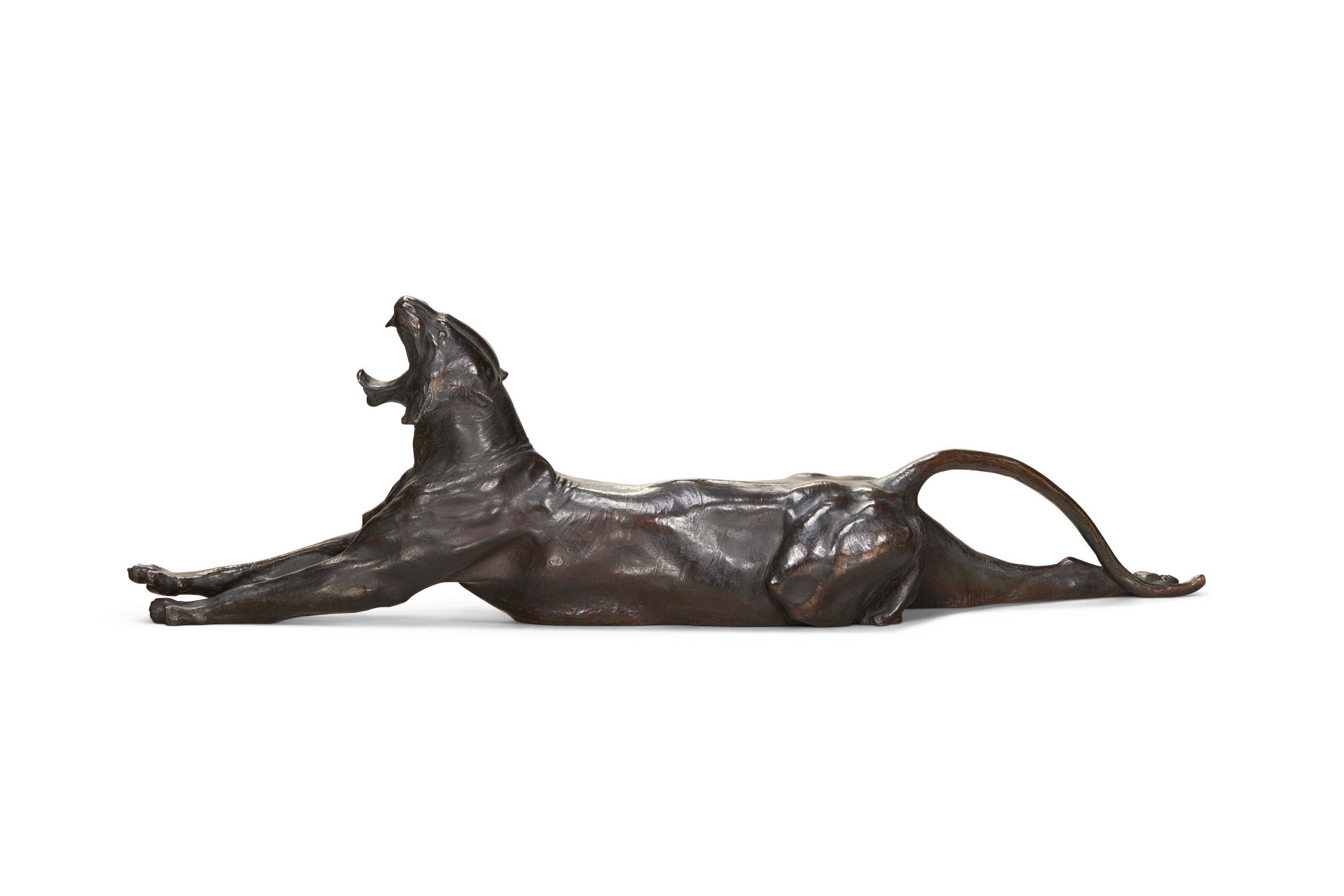 Anna Vaughn Hyatt Huntington | Yawning Tiger | MutualArt