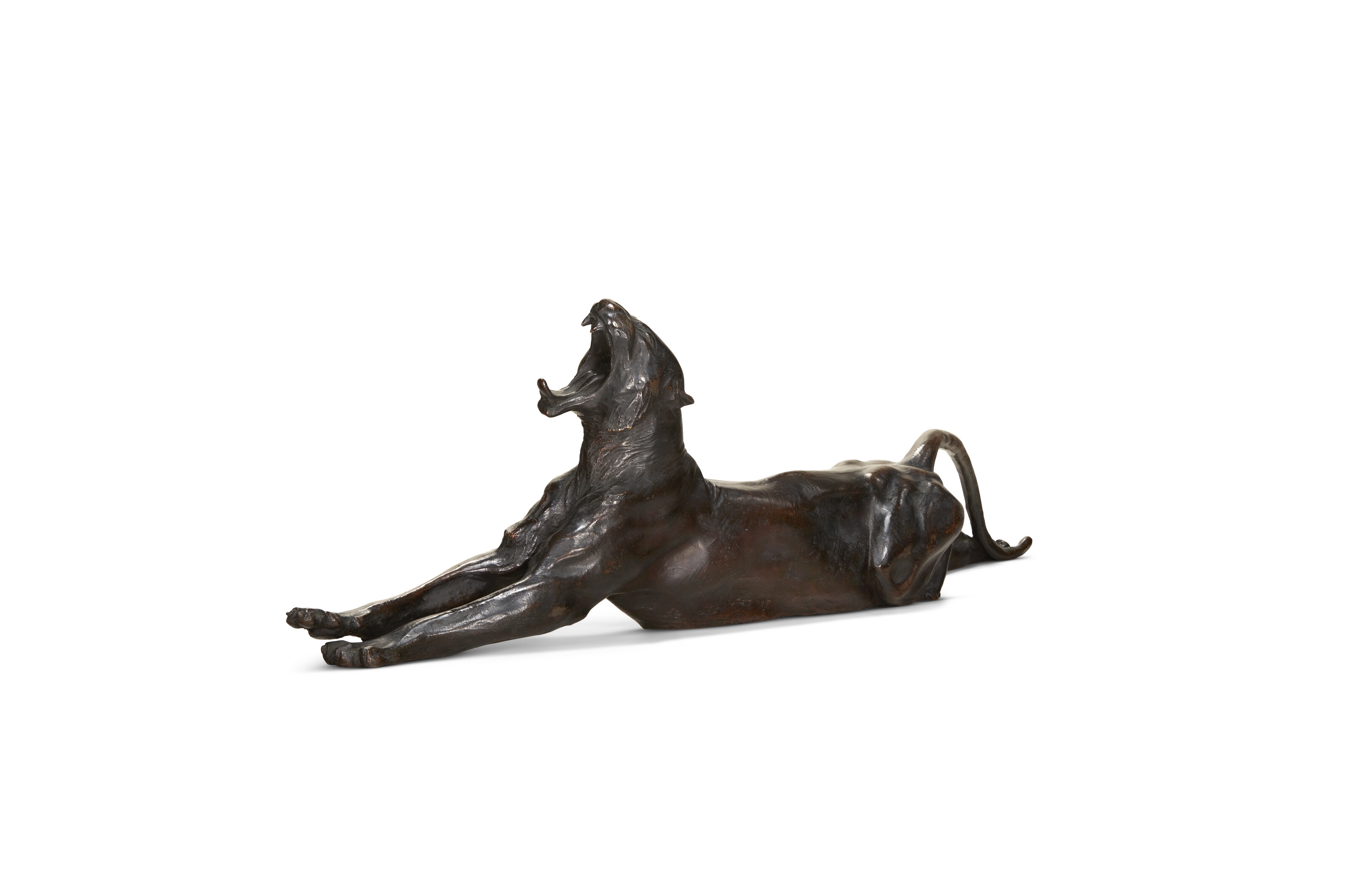 Anna Vaughn Hyatt Huntington | Yawning Tiger | MutualArt