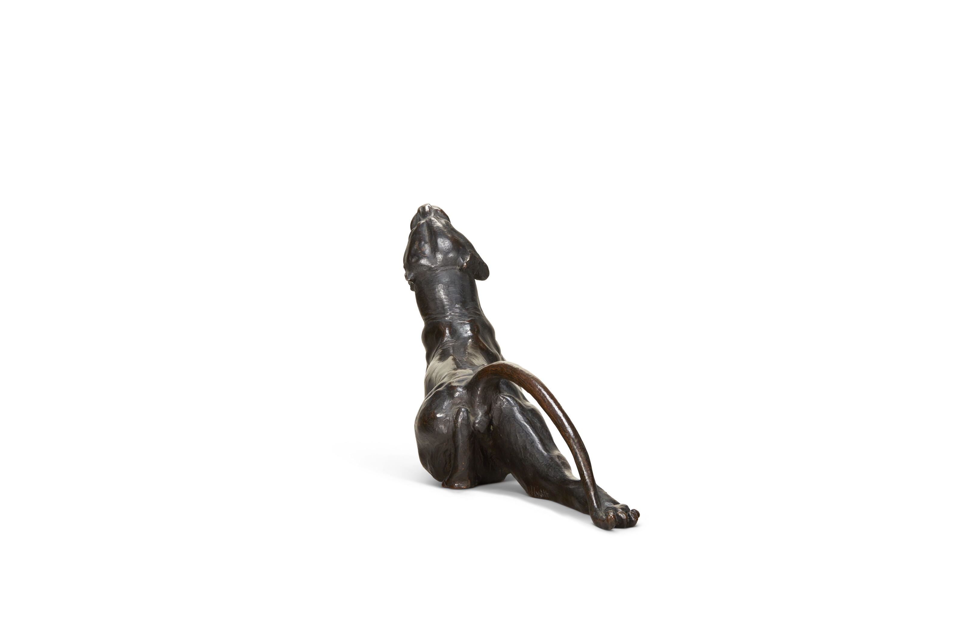 Anna Vaughn Hyatt Huntington | Yawning Tiger | MutualArt
