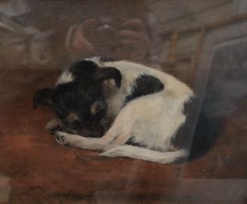 Frank Paton | Study of a sleeping Jack Russell terrier | MutualArt