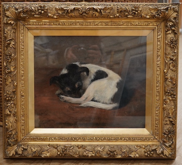 Frank Paton | Study of a sleeping Jack Russell terrier | MutualArt