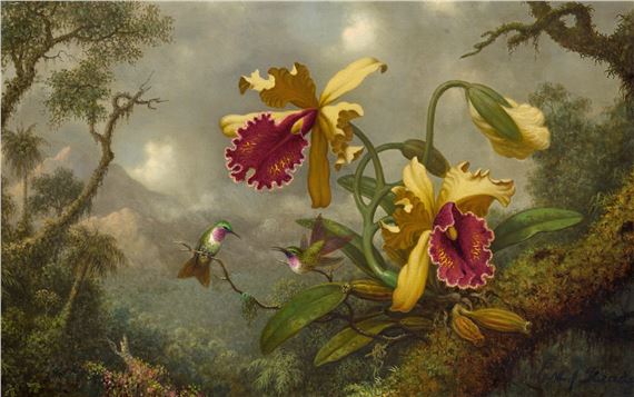 Martin Johnson Heade | Hummingbirds and Gold and Purple Orchids (1875 ...
