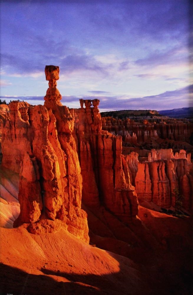 David C. Schultz | Bryce Canyon National Park | MutualArt