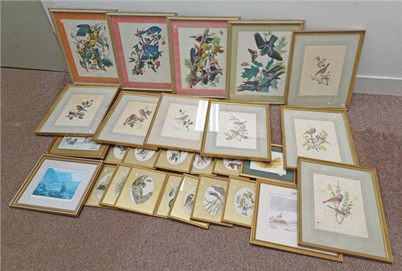 Archibald Thorburn | Collection of framed prints of birds including ...