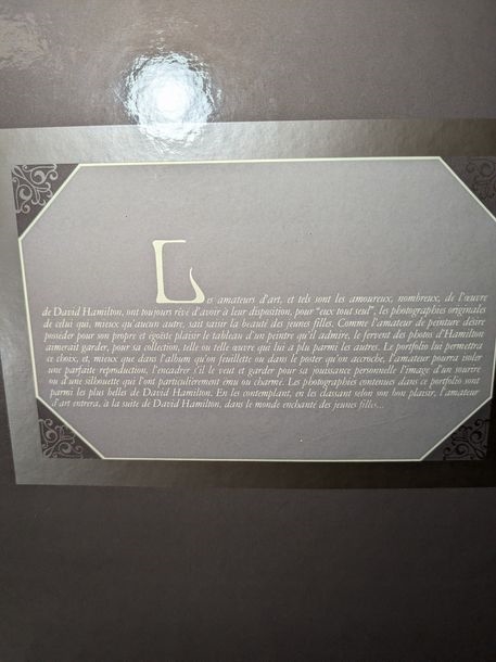 David Hamilton | Fille-Fleur | MutualArt