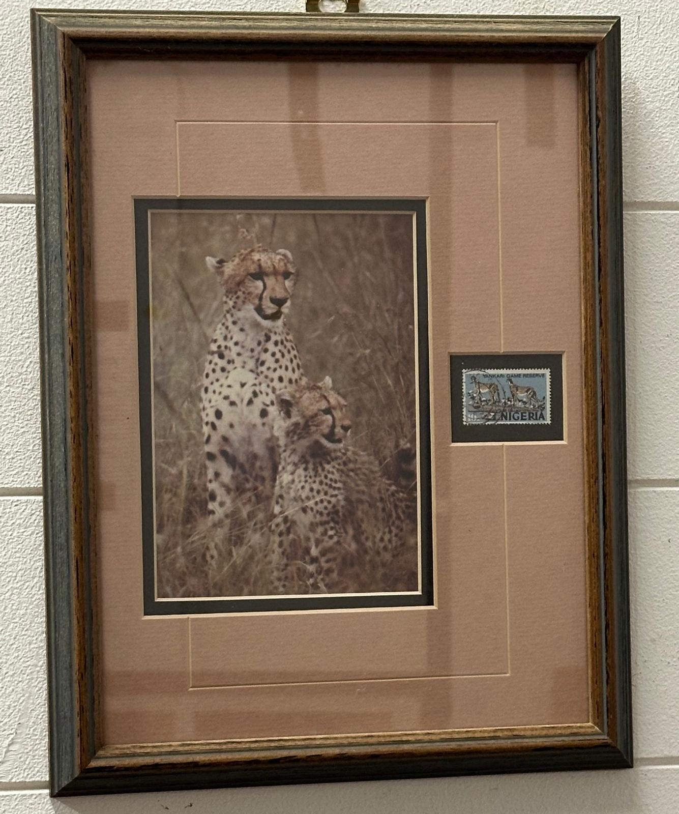 Walter A. Kuck | The Wildlife Photography of Walter A Kuck | MutualArt