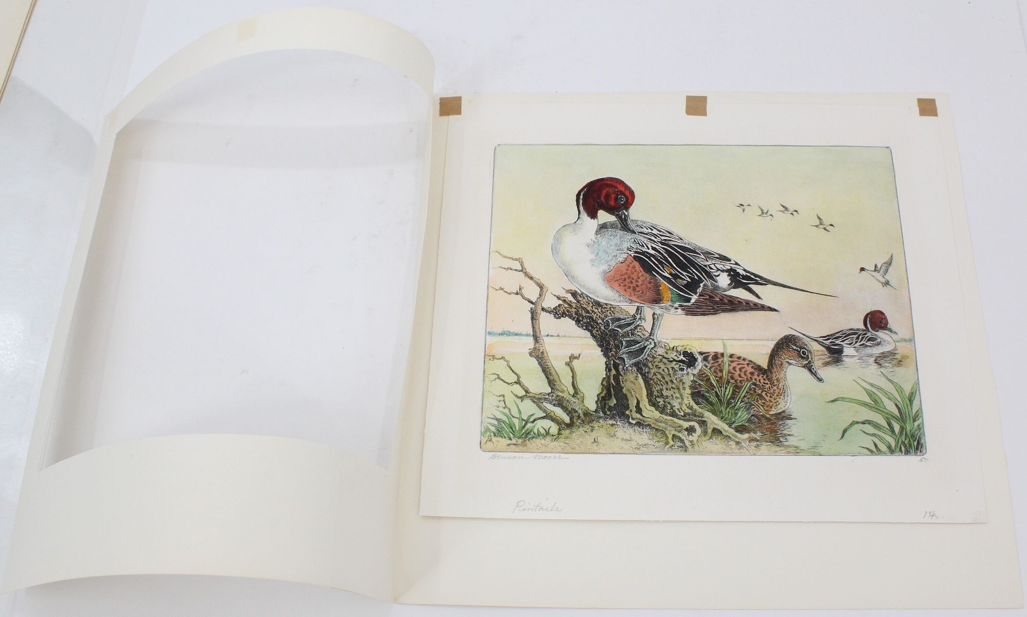 Edmund Clarence Messer | 3) Benson Moore(1882-1974) USA, Duck Etchings ...