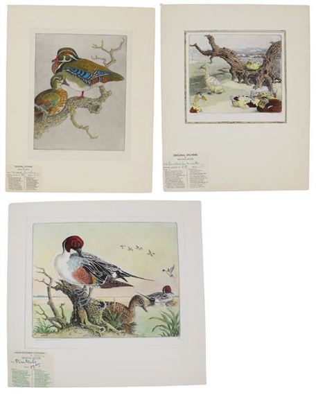 Edmund Clarence Messer | 3) Benson Moore(1882-1974) USA, Duck Etchings ...