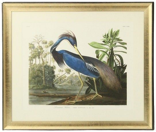 Robert Havell | R. Havell Heron Archival Print (1834) | MutualArt