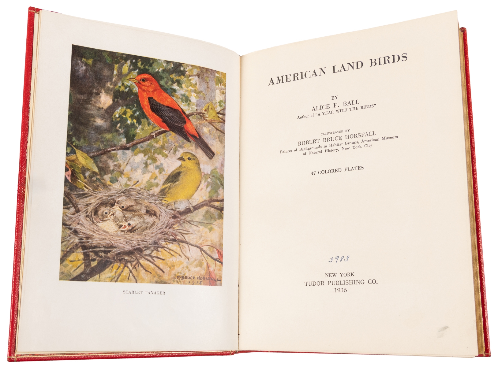 Robert Bruce Horsfall | [NATURAL HISTORY] (1936) | MutualArt