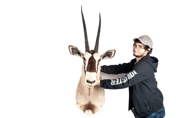 Derek Robinson | Antelope | MutualArt