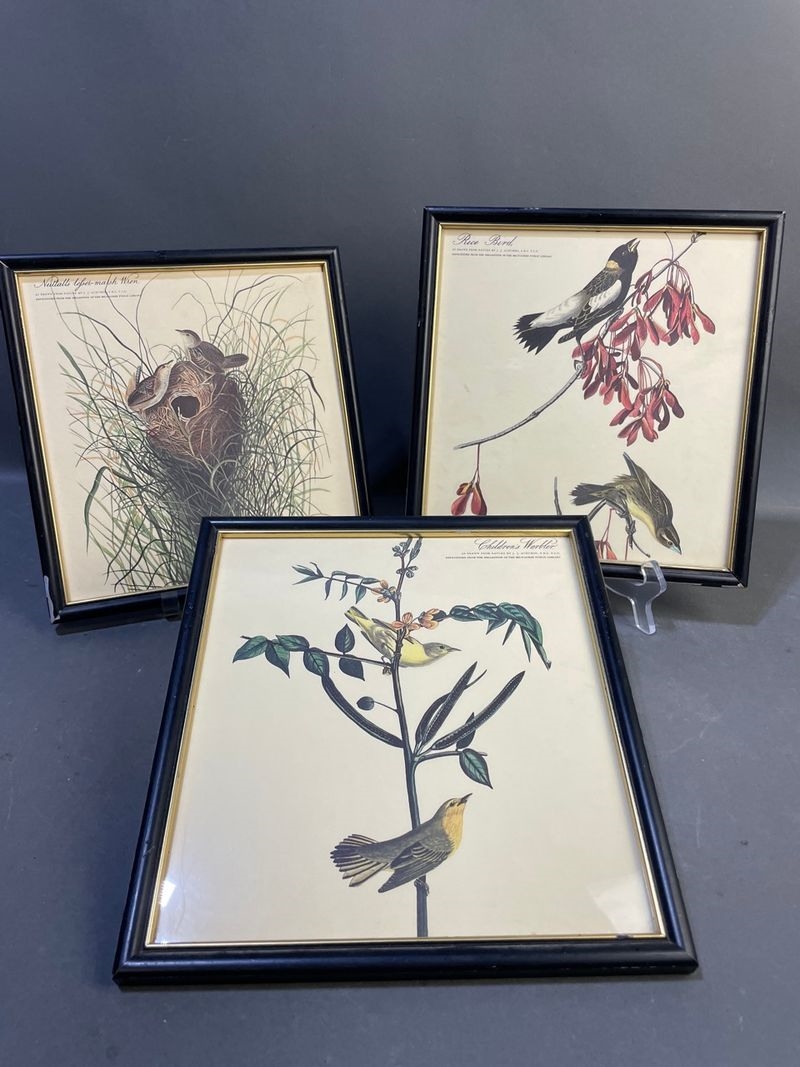 John James Audubon | Untitled | MutualArt