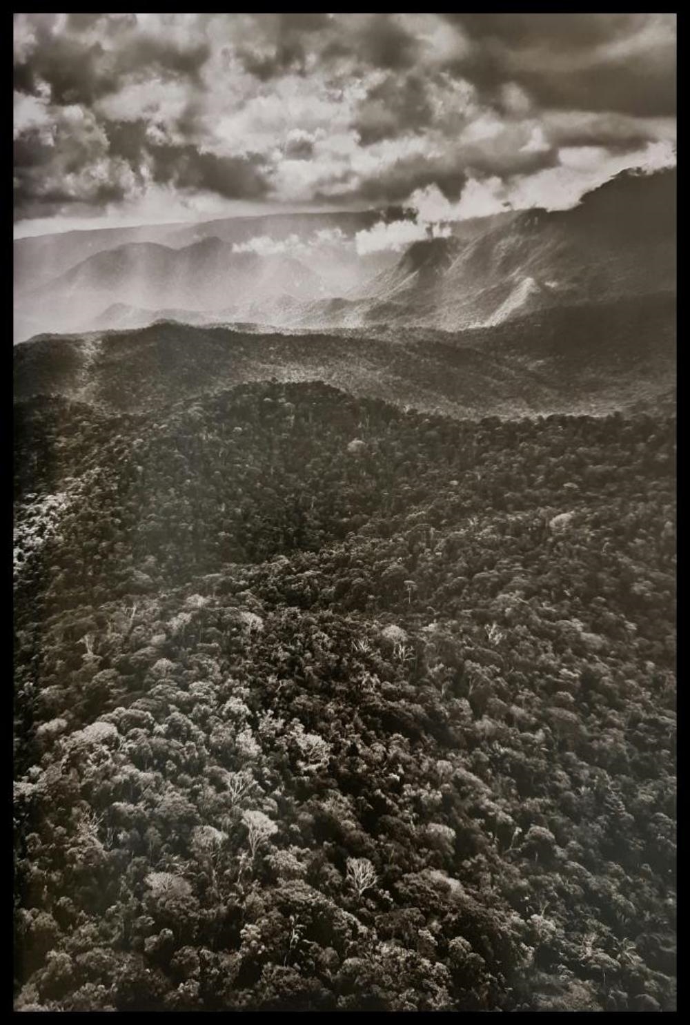 Sebastião Salgado | BRAZILIAN RAINFOREST AND IMERI MOUNTAIN (2009 ...