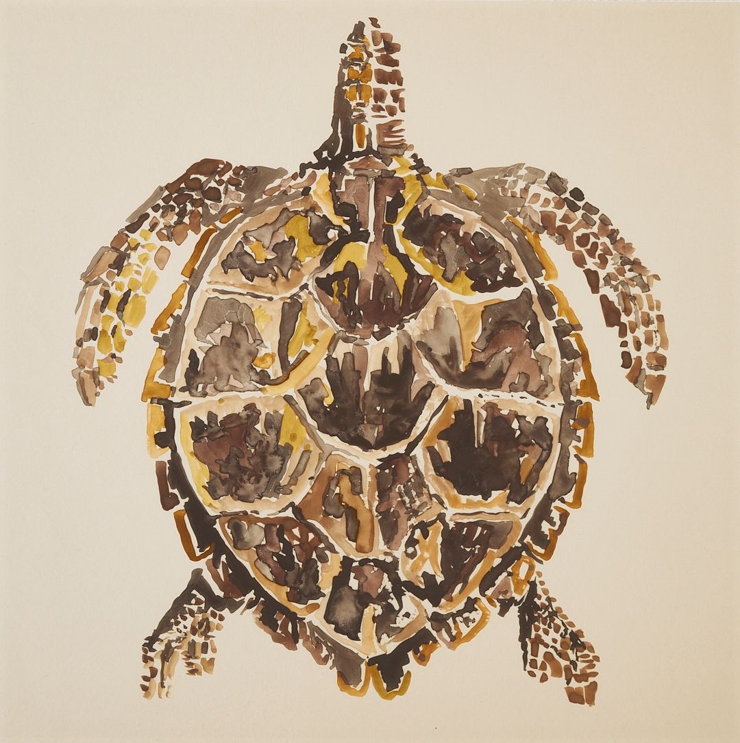 Walter Inglis Anderson | Watercolor Painting of a Sea Turtle, attrib ...