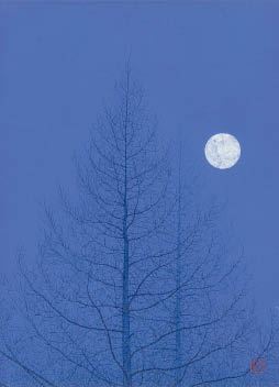 Yuji Sasaki | Frozen moon and pine forest | MutualArt
