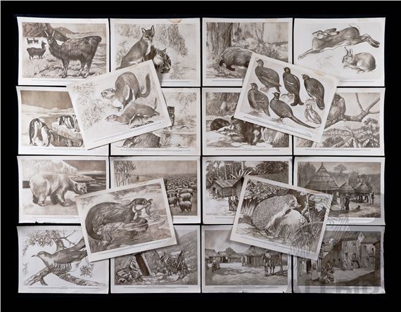 Ernest Alfred Aris | Ernest Aris (British, 1882-1963), Animals and ...