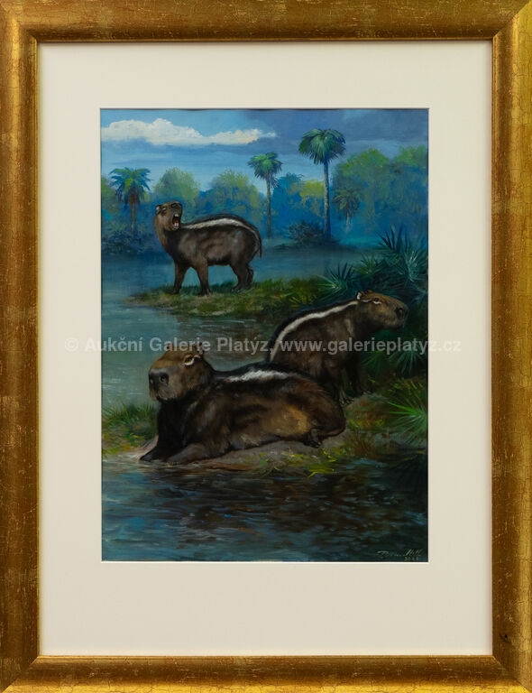 Petr Modlitba | Josephoartigasia Monesi | MutualArt