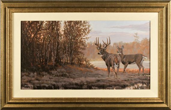 Bruce Miller | BRUCE MILLER OIL ON CANVAS, WHITE TAILED DEER | MutualArt