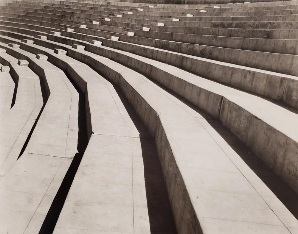 Tina Modotti | TINA MODOTTI (1913) | MutualArt