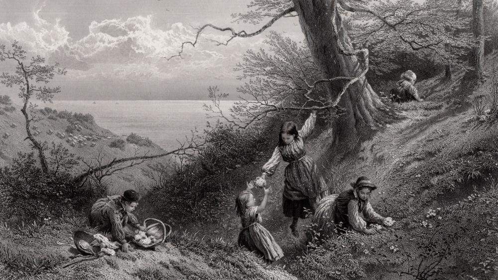 Myles Birket Foster | 1800s MYLES BIRKET FOSTER Etching Collecting ...