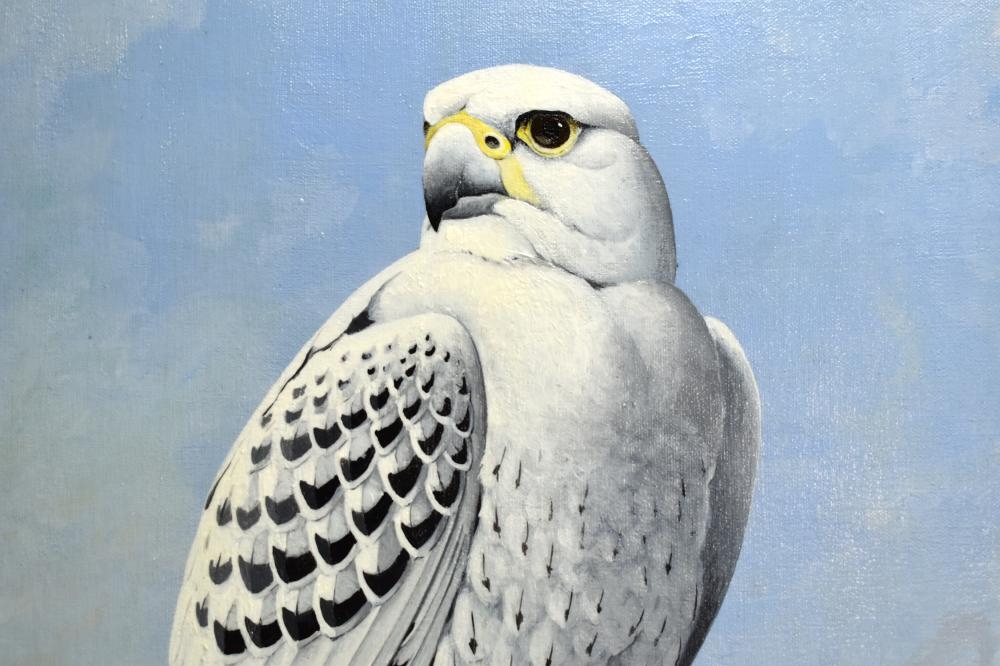 Roger L. Parsels | Roger Parsels Gyrfalcon Painting Realism 20 x 24 in ...