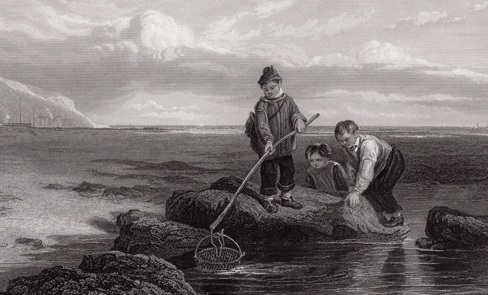 William Collins | William Collins 1849 engraving Prawn Fishing I signed ...