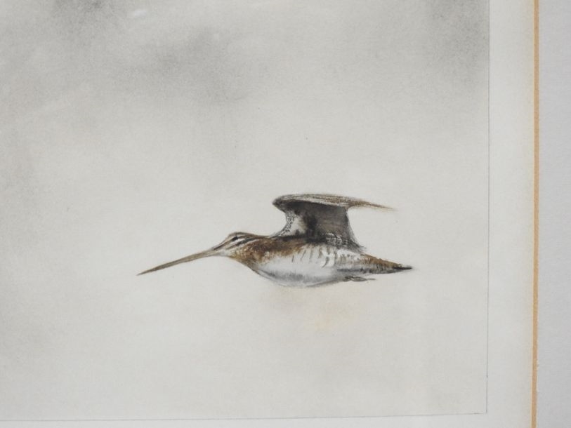 Dominique Pizon | Dominique PIZON (b | MutualArt