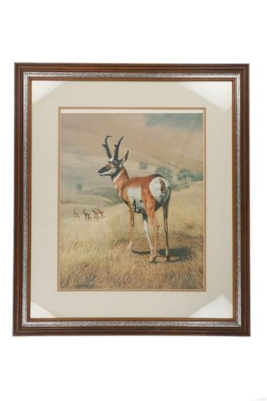 Charles Frace | Pronghorn Plate IV (Late 1900s) | MutualArt
