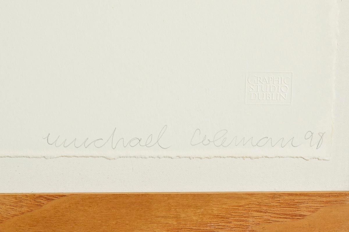 Michael Coleman | Untitled (1998 (1998) | MutualArt