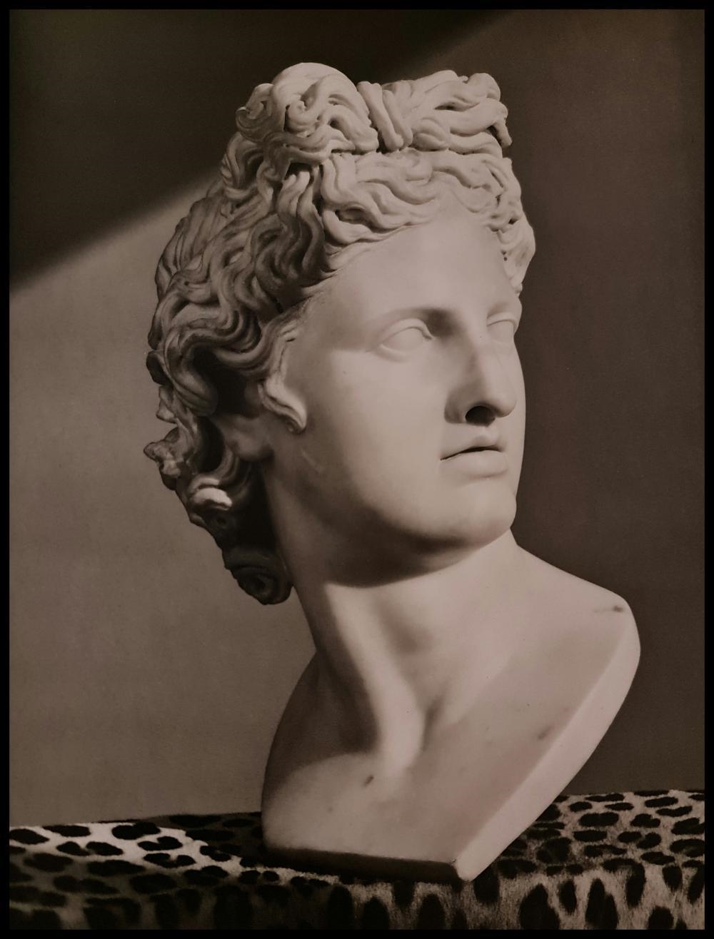 Robert Mapplethorpe | APOLLO | MutualArt