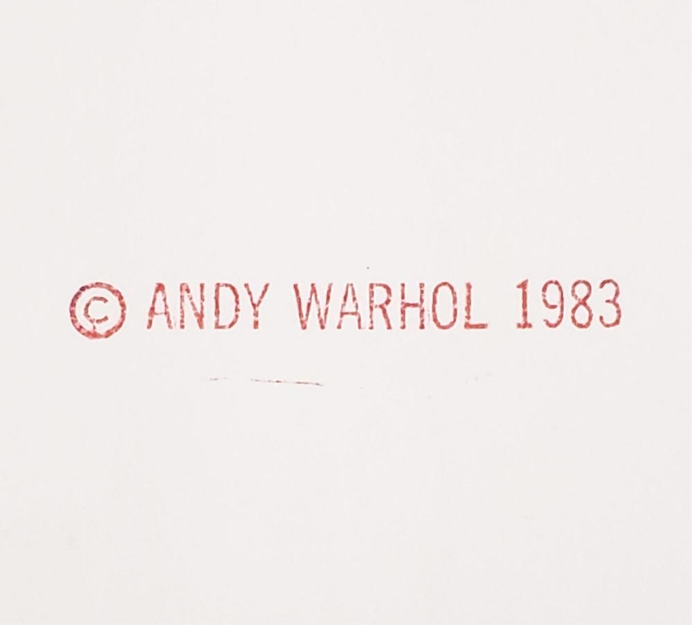 Andy Warhol | Andy Warhol Signed Limited Edition Serigraph | MutualArt